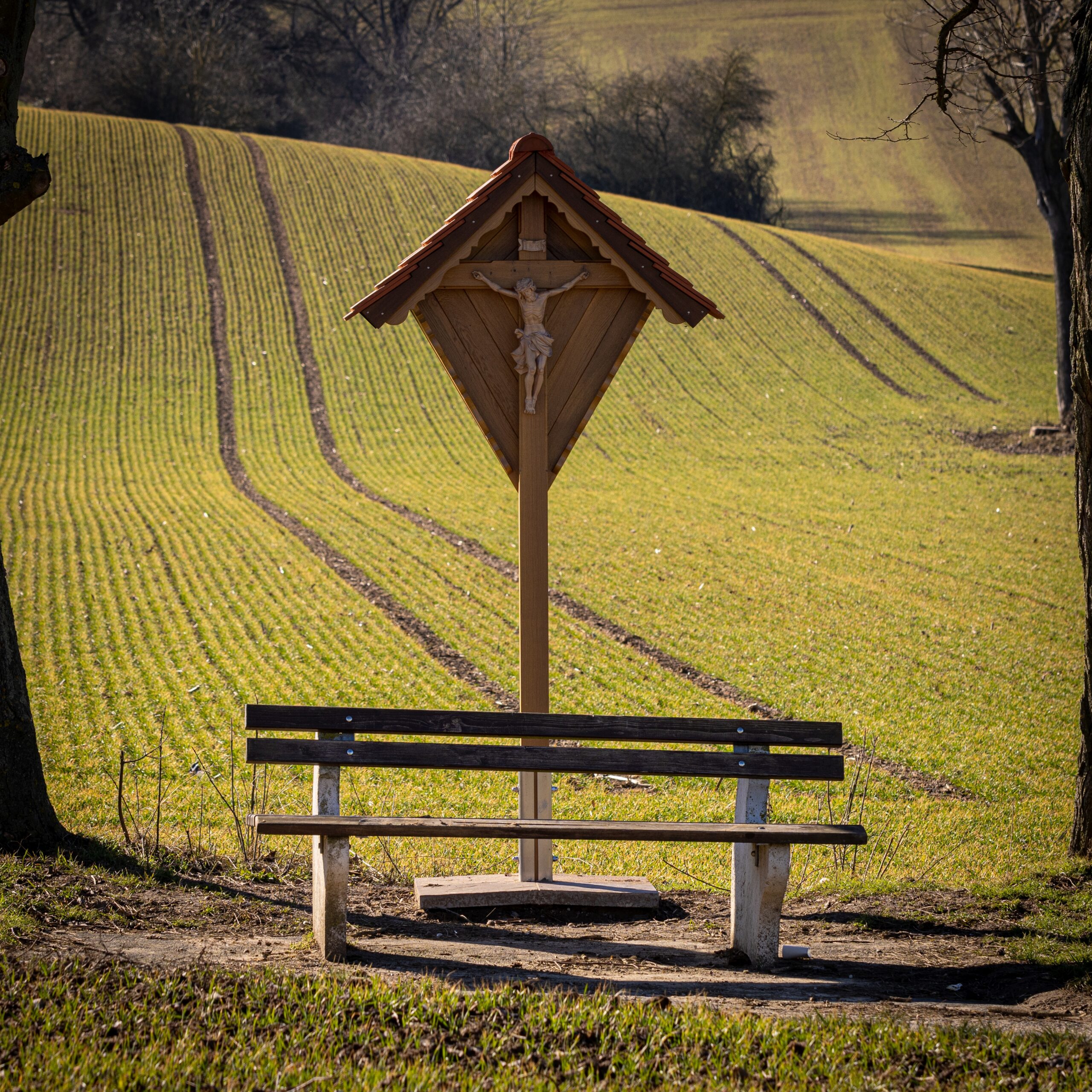 Kleiner Schaafheimer Jakobsweg - Peace-Walker